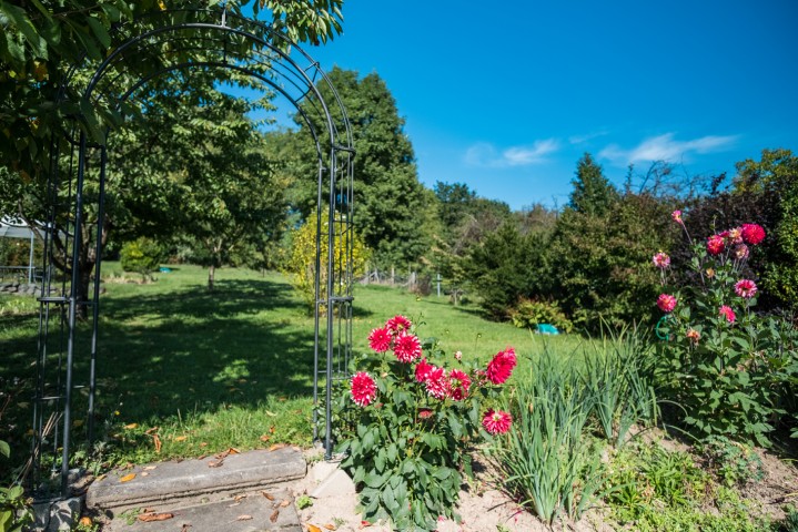 Architektenhaus Neuwied-Segendorf - Gampp Immobilien in Neuwied ...
